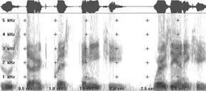 Masisitimu ekuzivikanwa kwemutauri anoshandisa spectrogram kumiririra manzwi evanhu.