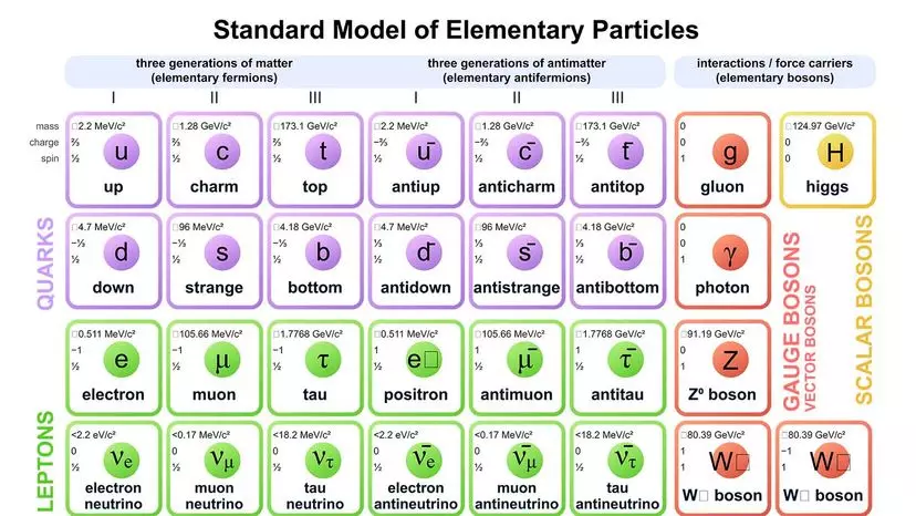 Standard Model ye particle fizikisi