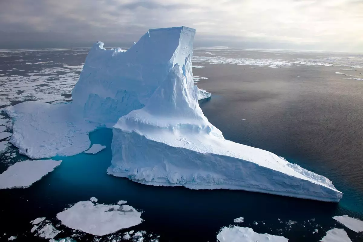 Ekolojia Iceberg