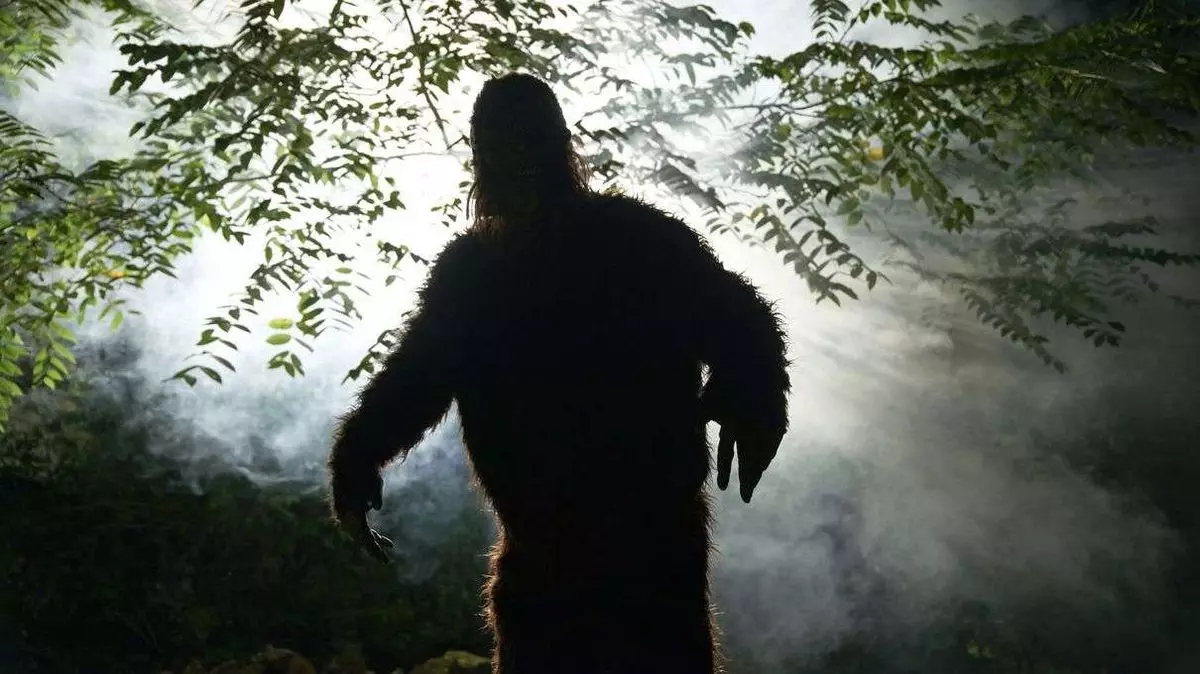 Folk er på jakt etter Bigfoot. Her er hvordan de finansierer det