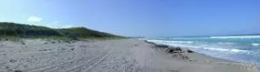 Barrier Island Beach