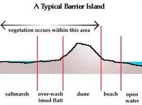 Varias zonas de una isla barrera típica