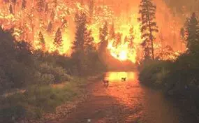 En 2000, este incendio forestal arrasó justo al norte de Sula, Montana.