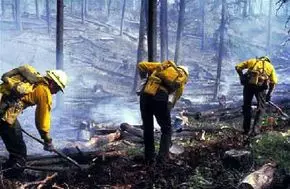 Los bomberos construyen cortafuegos como este para eliminar el combustible potencial del camino de un incendio forestal.