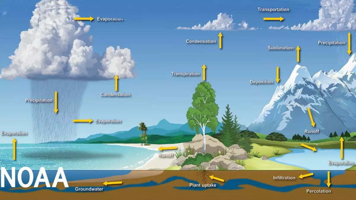 Dit is hoe de klimaatcrisis de watercyclus beïnvloedt