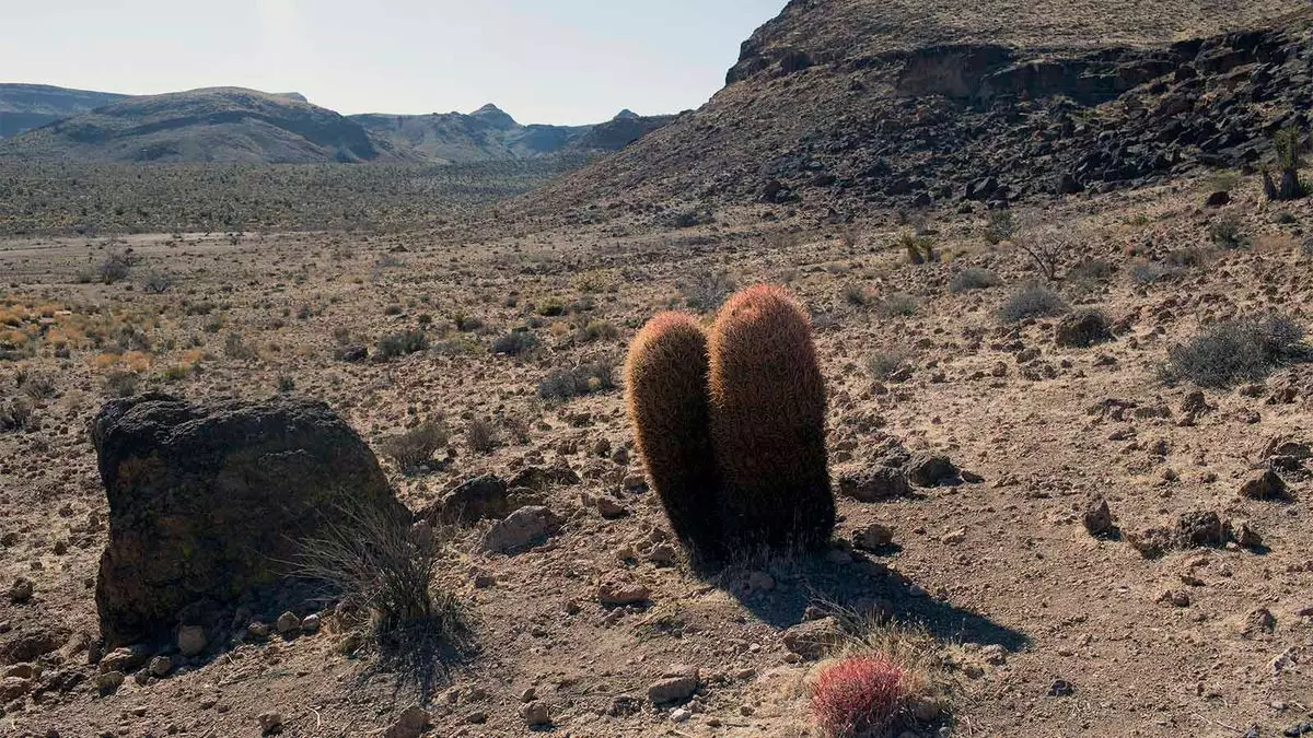 5 van die aarde se hoogste woestyne