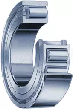 Giputol nga pagtan-aw sa usa ka roller bearing