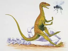 Wanne ya fi nasara: Dinosaur mai firgita ko kudan zuma mai ban tsoro a fili?