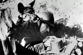 1939: Un ofițer francez mâzgăleește un mesaj în timp ce un câine stă lângă el gata să-l transmită. Câinii au acționat ca curieri la posturi împrăștiate în zona franceză.
