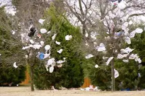 Els 500.000 milions de bosses de plàstic produïdes anualment omplen els abocadors i es reuneixen als arbres.