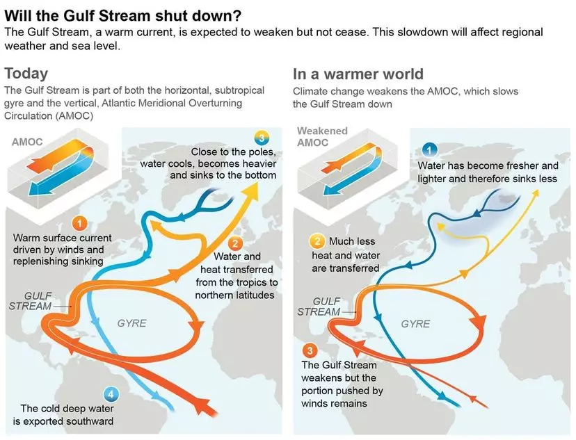 ແຜນວາດຂອງ Gulf Stream