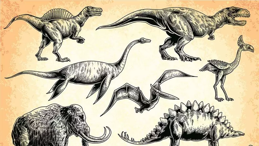 ilustracija dinosaurusa