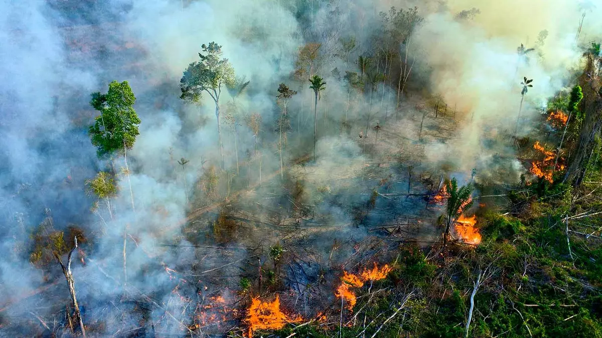 Brann, avskoging har "snudd" Amazonas for å være utsender av karbon