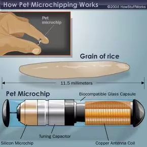 Nibishushanyo byubwoko bwa microchip ikoreshwa mubitungwa.