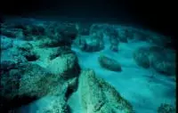 Клубовидни структури от подводни микроби, наречени строматолити