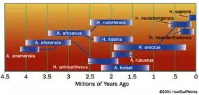 Как работи Evolution 8235_8