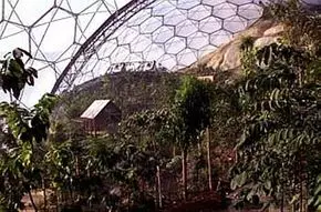 Ib qho kev pom sab hauv ntawm Humid Tropics Biome, qhov tseem ceeb ntawm Eden Project