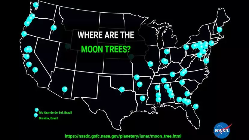 चाँद के पेड़ का नक्शा