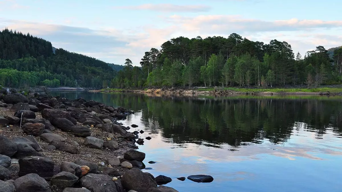 Scotland ta ka vin premye 'Nasyon Rewilding' nan mond lan