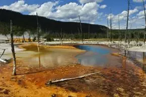 Ang Yellowstone National Park's Opalescent Pool nakakuha sa nindot nga mga kolor gikan sa thermophilic bacteria.