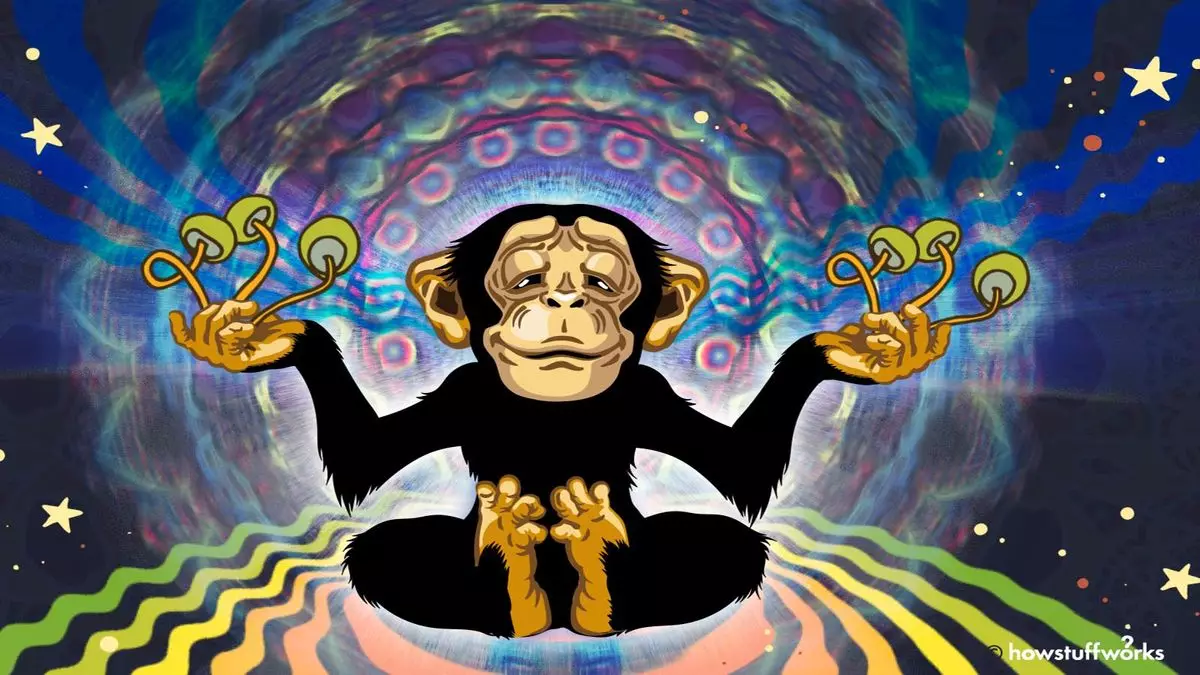 La hipótesis del mono drogado: ¿las setas mágicas influyeron en la evolución humana?