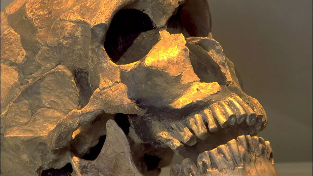 Mwana Skeleton Anoratidza Neanderthals Vakaviga Vakafa Vavo