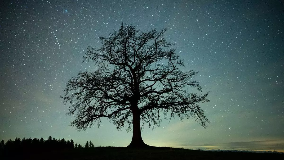 Pasižymėkite šių 2021 m. kosminių renginių kalendorius, astronomijos gerbėjai