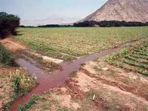 הפרואנים הקדומים כנראה השתמשו במערכות השקיה פשוטות כמו אלו שנראות היום בעמק סופר.
