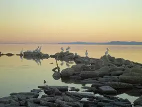 Marea Salton a fost creată de un dezastru ecologic, dar acum preia scurgerile de irigare și găzduiește o varietate de animale sălbatice.
