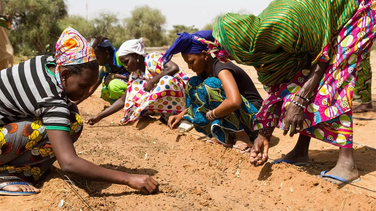 Afrika'nın Büyük Yeşil Duvarı Bir Korumadır - ve Dünya - Harika