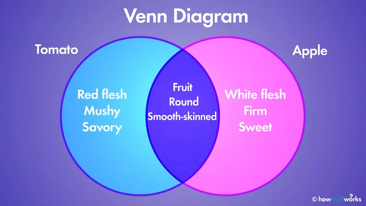 Venn Şeması: Örtüşen Rakamlar İlişkileri Nasıl Gösterebilir?